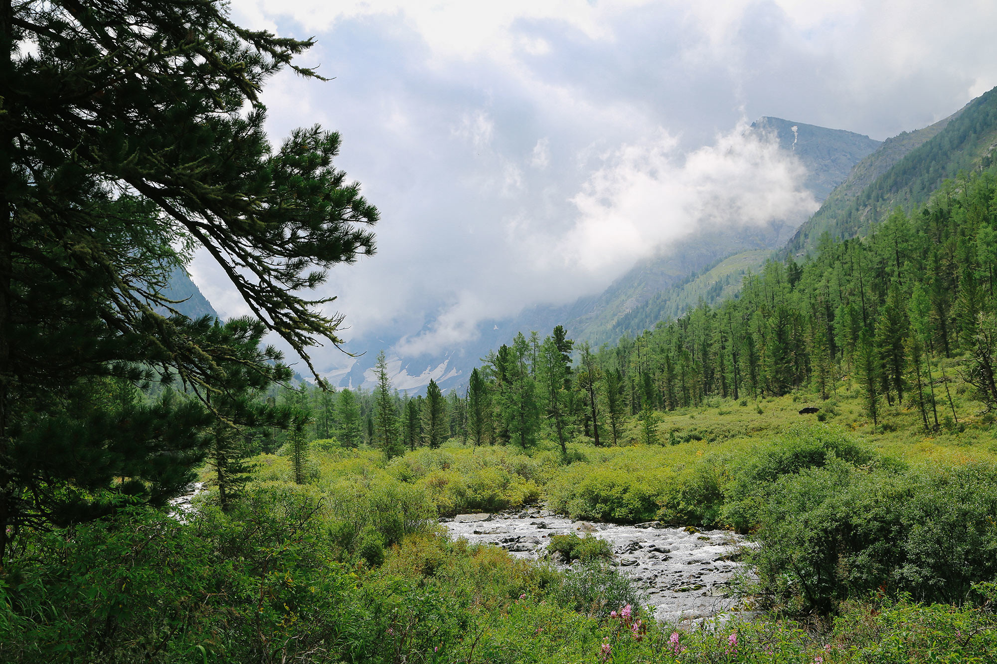 Altai Mountains Tour 2021 — Jeeps, Trekking, Rafting | Book Online