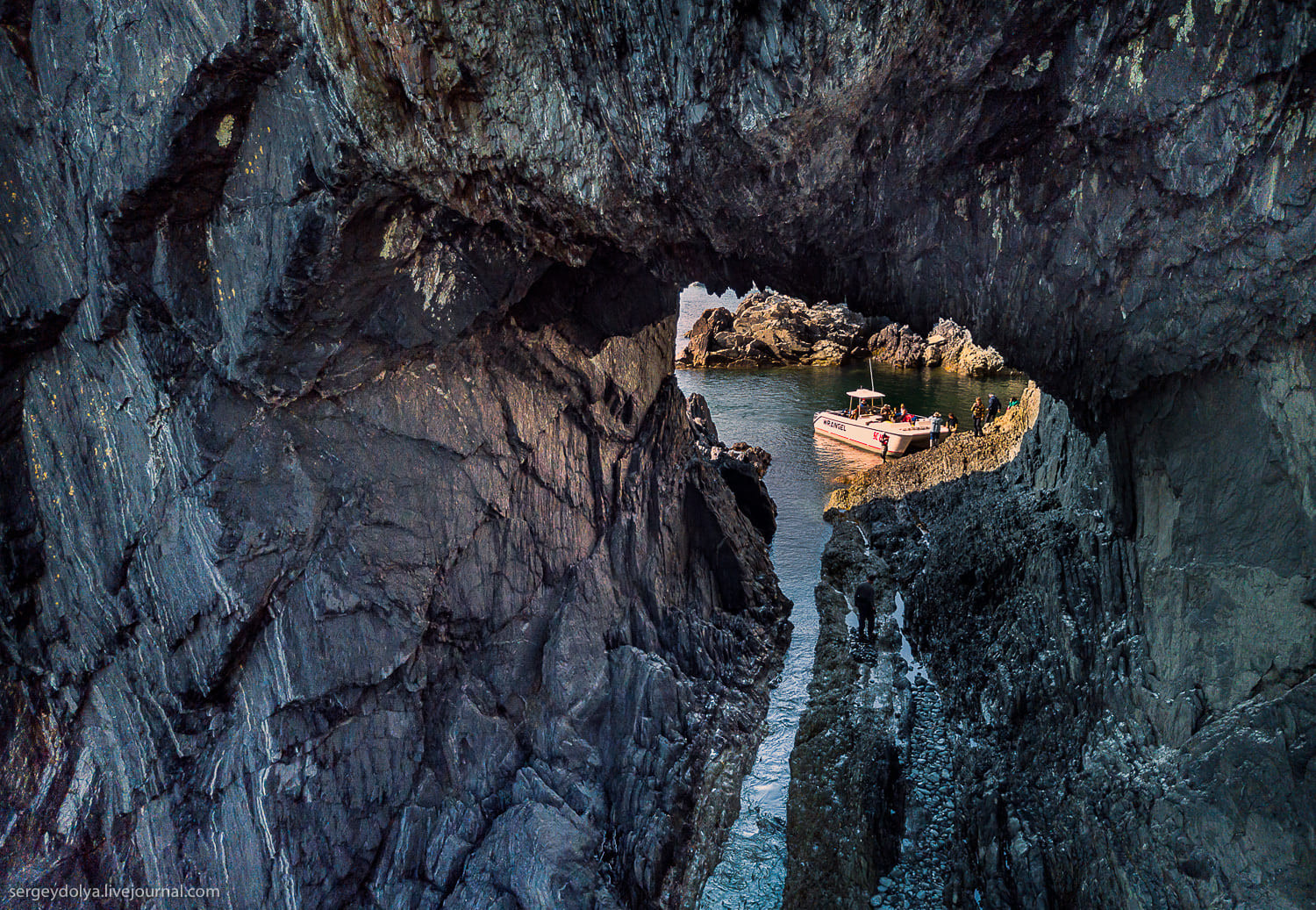 Whale Watching Tour — Shantar Islands | Book Online