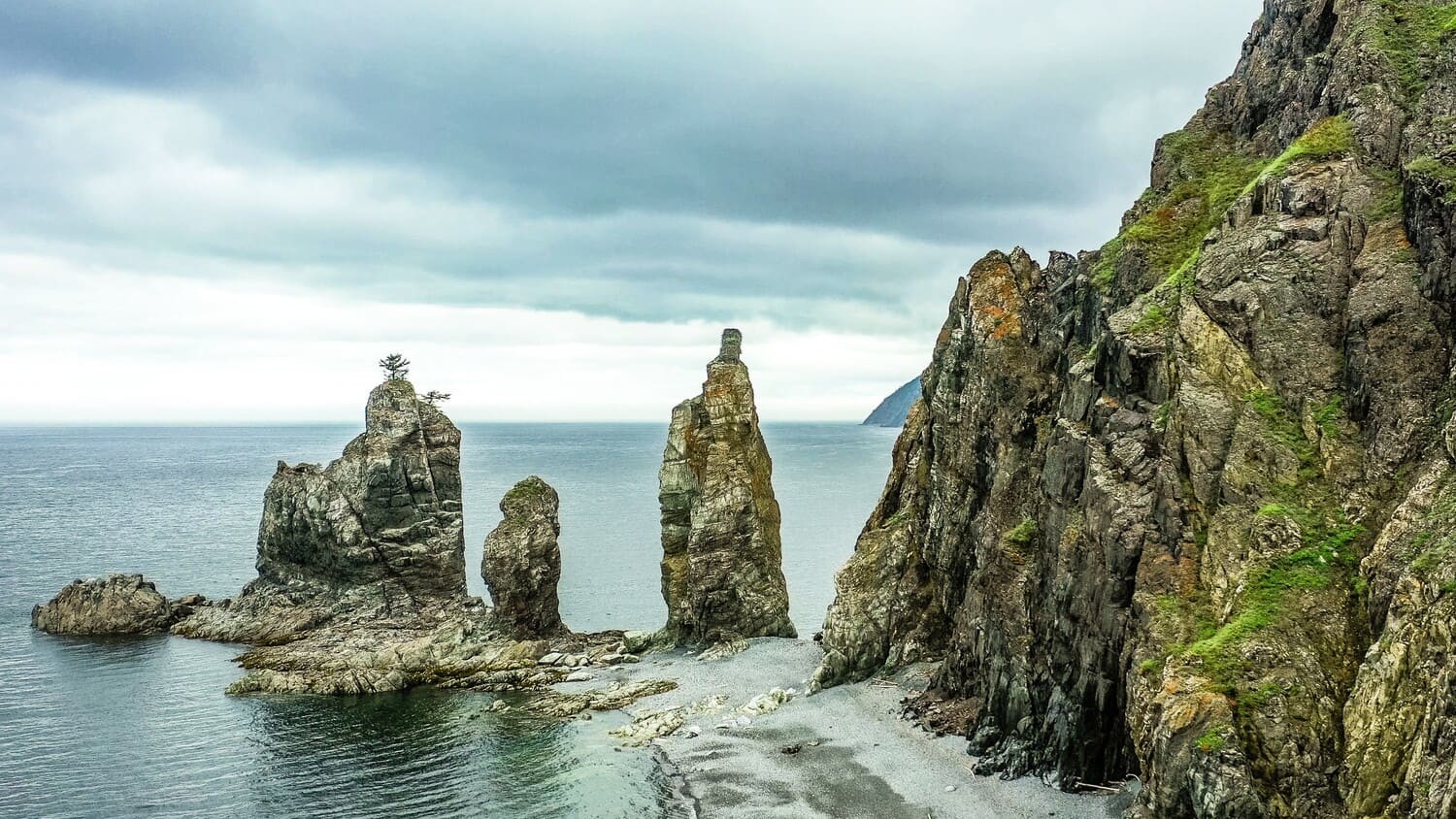 Whale Watching Tour — Shantar Islands | Book Online