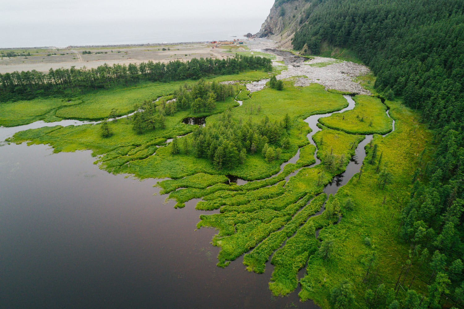 Whale Watching Tour — Shantar Islands | Book Online