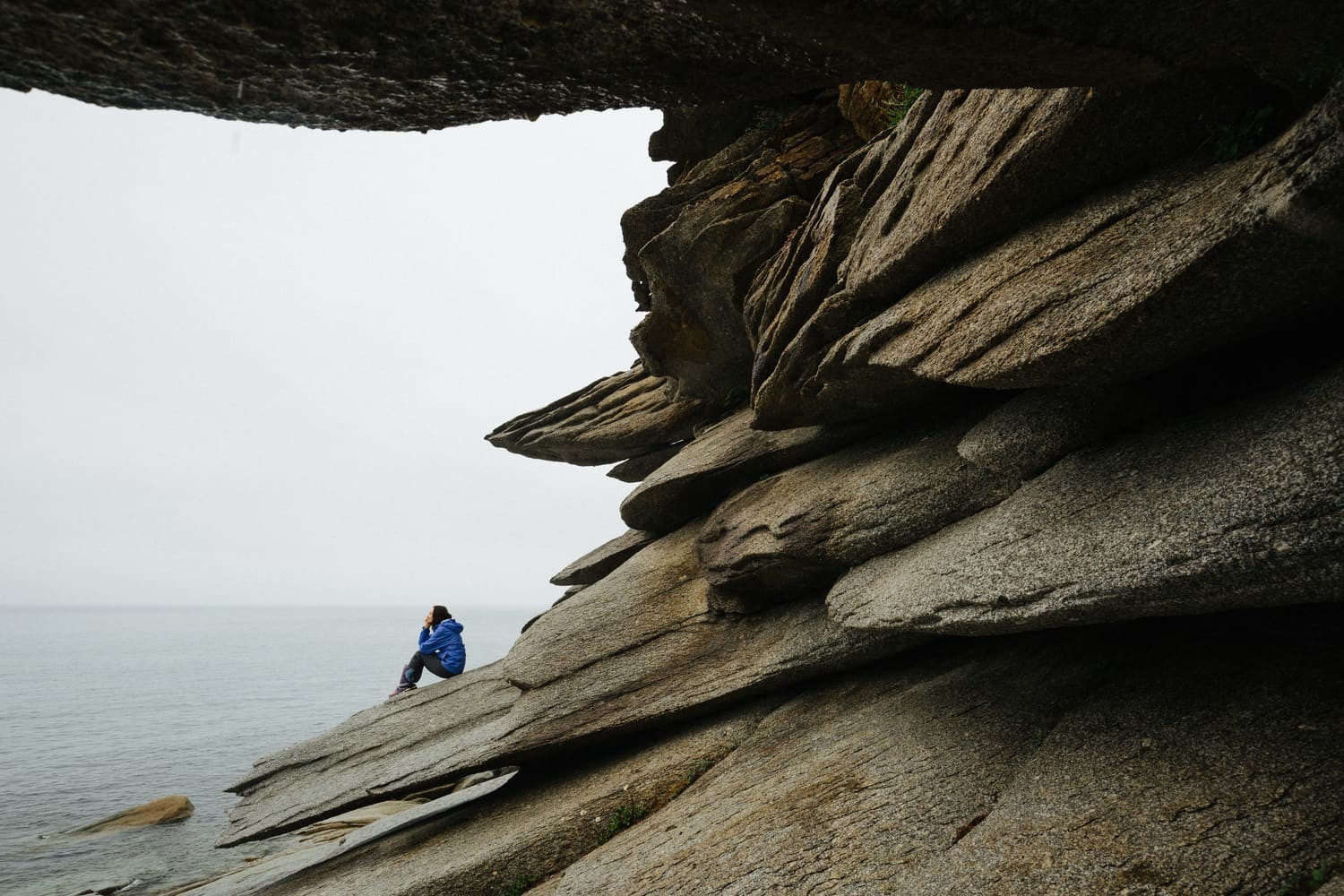 Whale Watching Tour — Shantar Islands | Book Online
