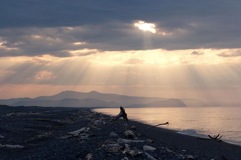 Whale Watching Tour — Shantar Islands | Book Online