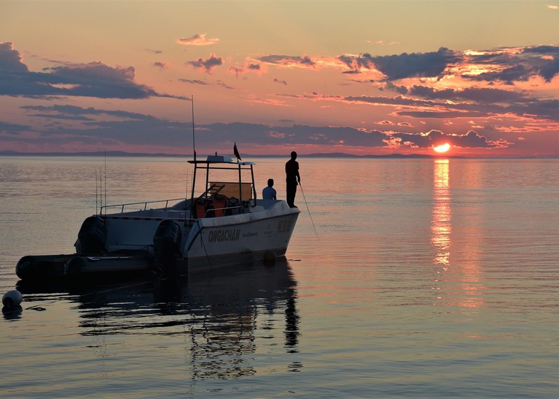 Whale Watching Tour — Shantar Islands | Book Online