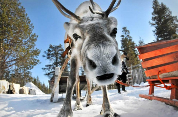 The ancient peoples of Russia under the polar circle — the Sami