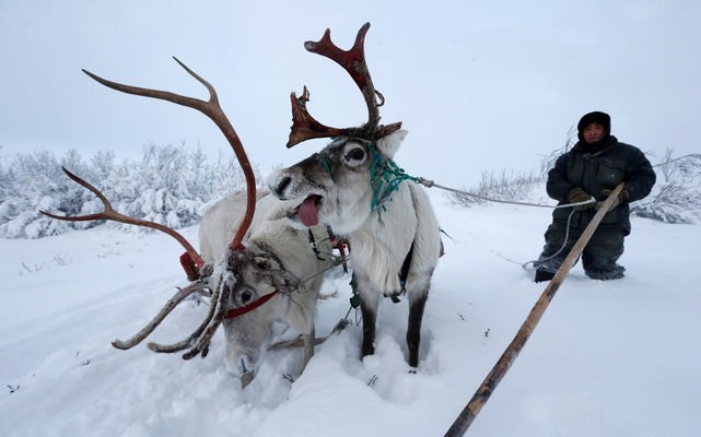 The ancient peoples of Russia under the polar circle — the Sami