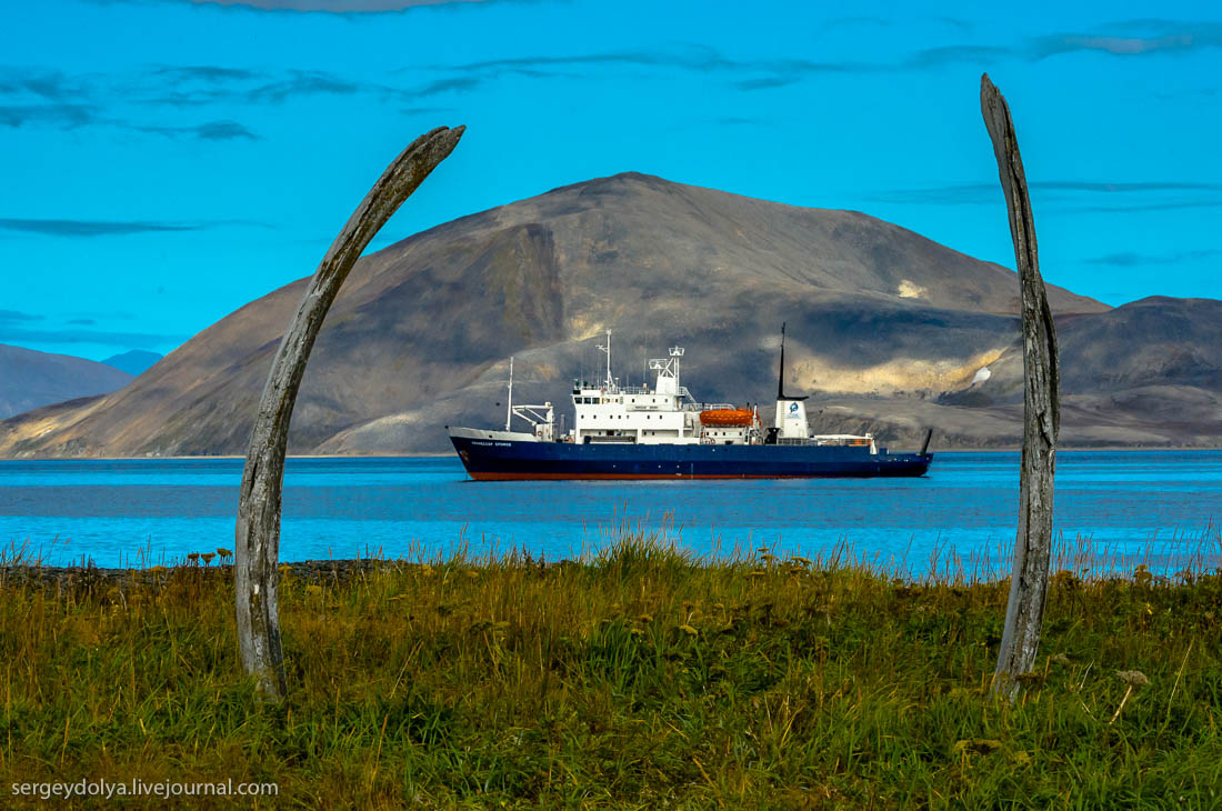 Wrangel Island Russia: Guide with Sublime Photos | RussiaDiscovery.com