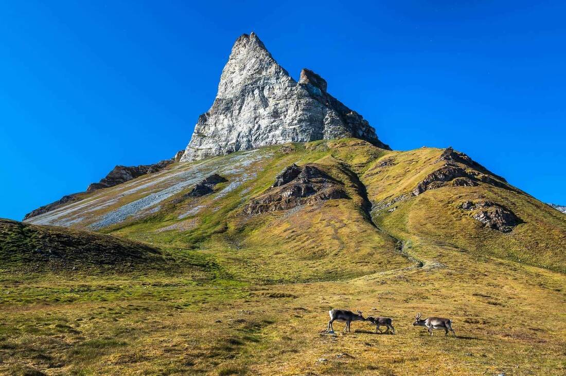 Svalbard: Guide with Sublime Photos | RussiaDiscovery.com