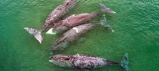 Shantar Islands Travel 2021 | ⏰ Book Adventure Tour Online