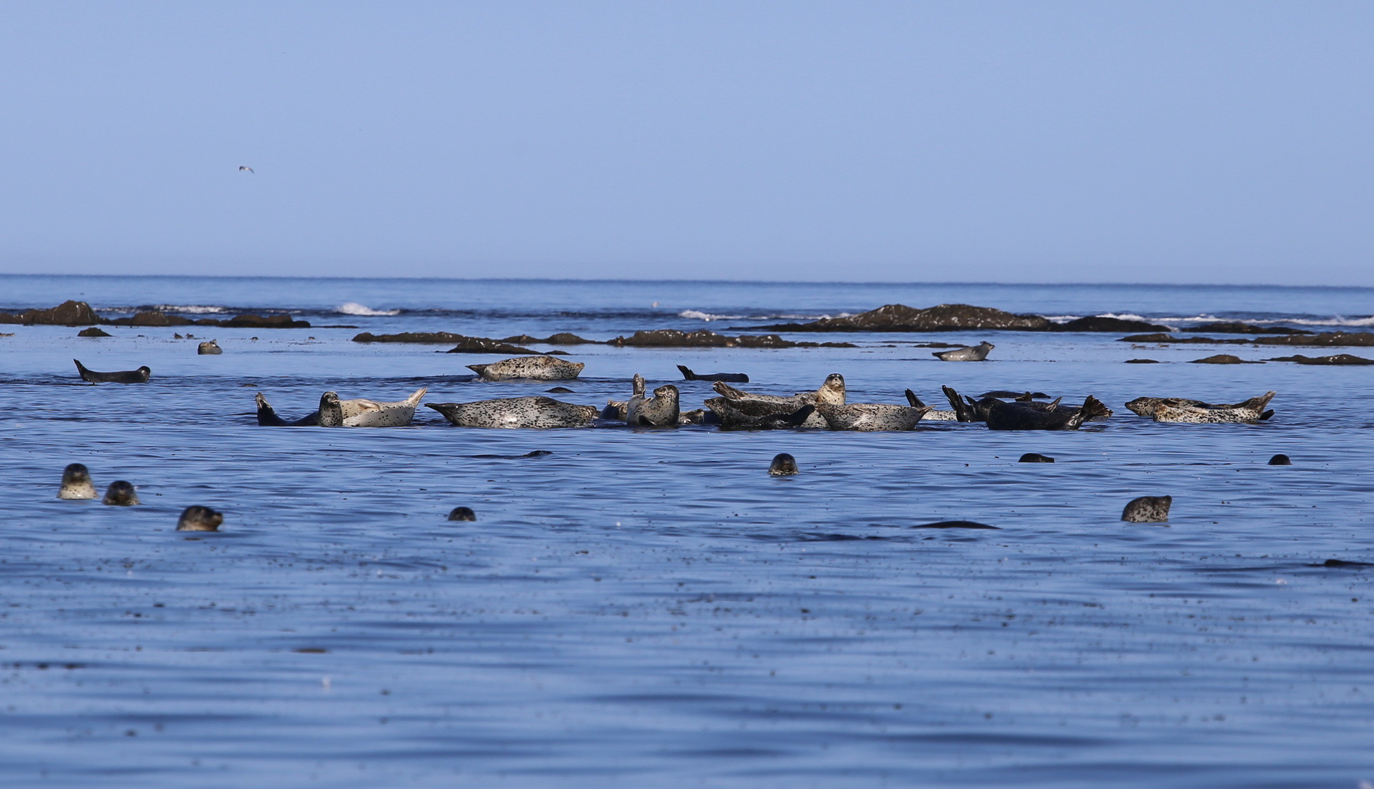 Cruise to the Russian Far East 2020 — Photo tour to the Kuril islands