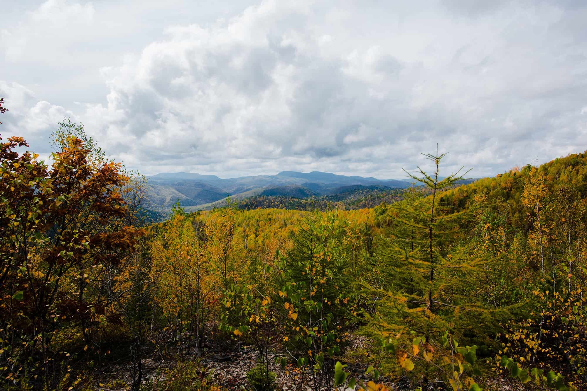 Tours to Primorye Russia — Far East Jorney | Book Online