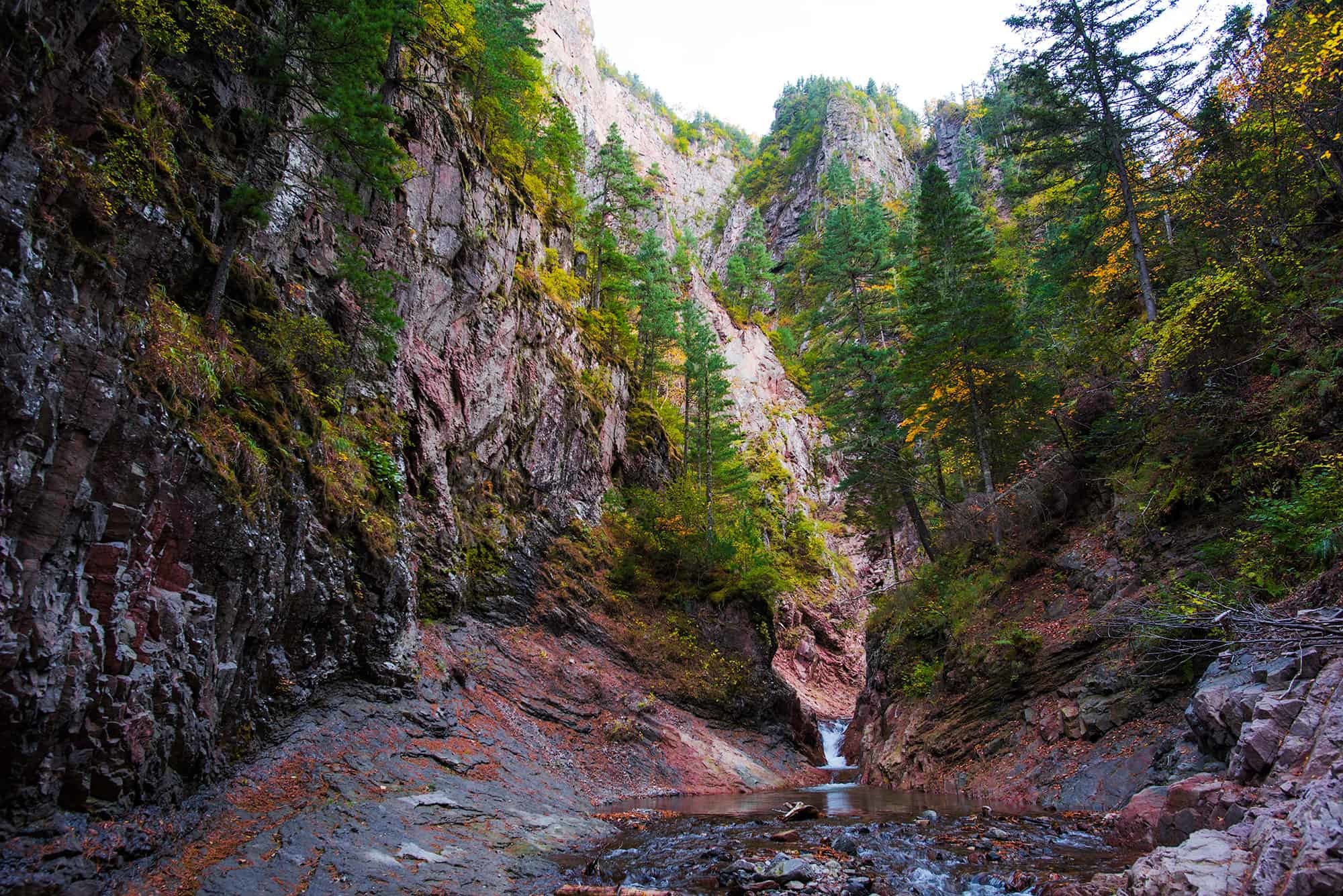 Tours to Primorye Russia — Far East Jorney | Book Online