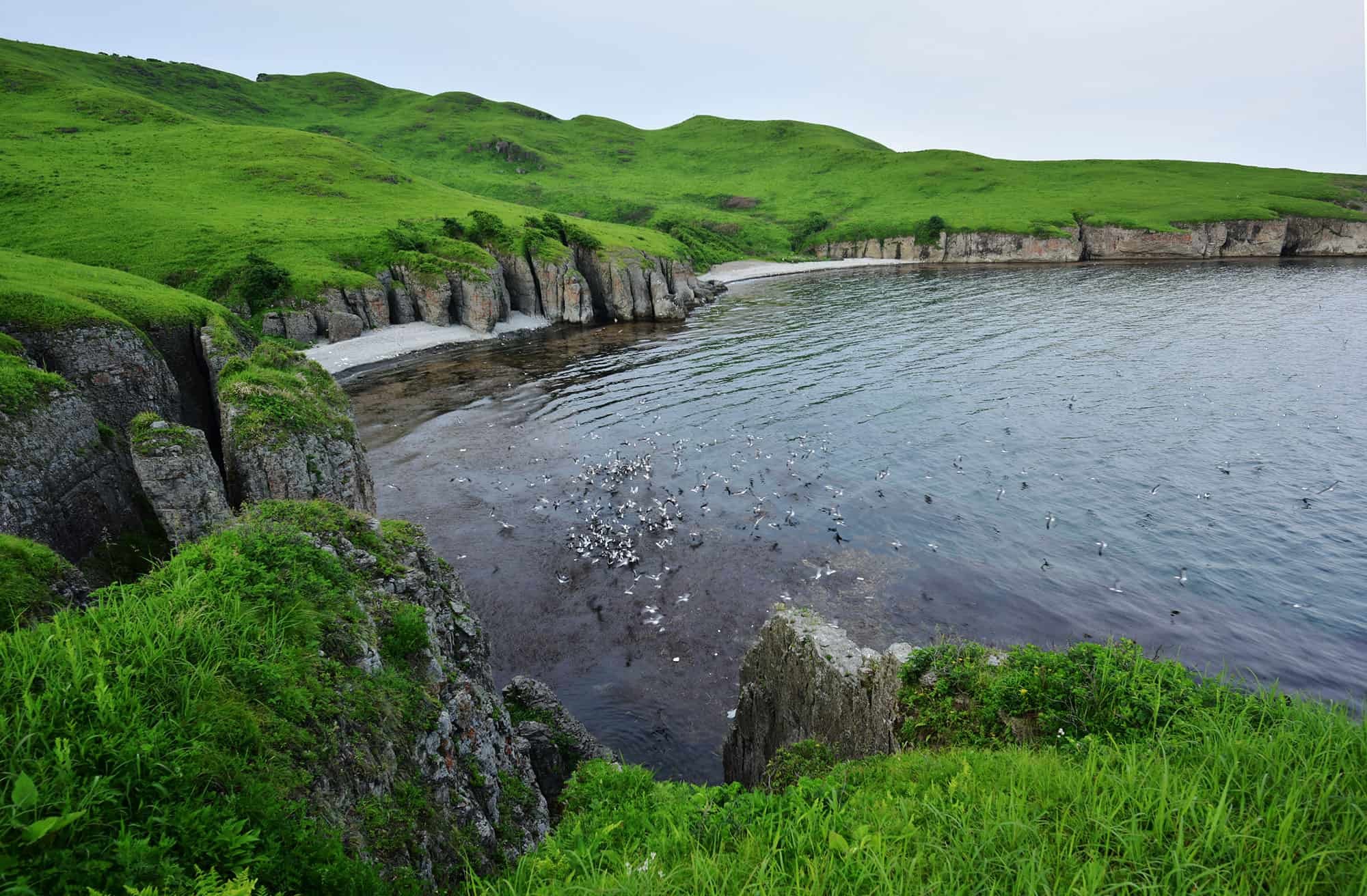 Tours to Primorye Russia — Far East Jorney | Book Online