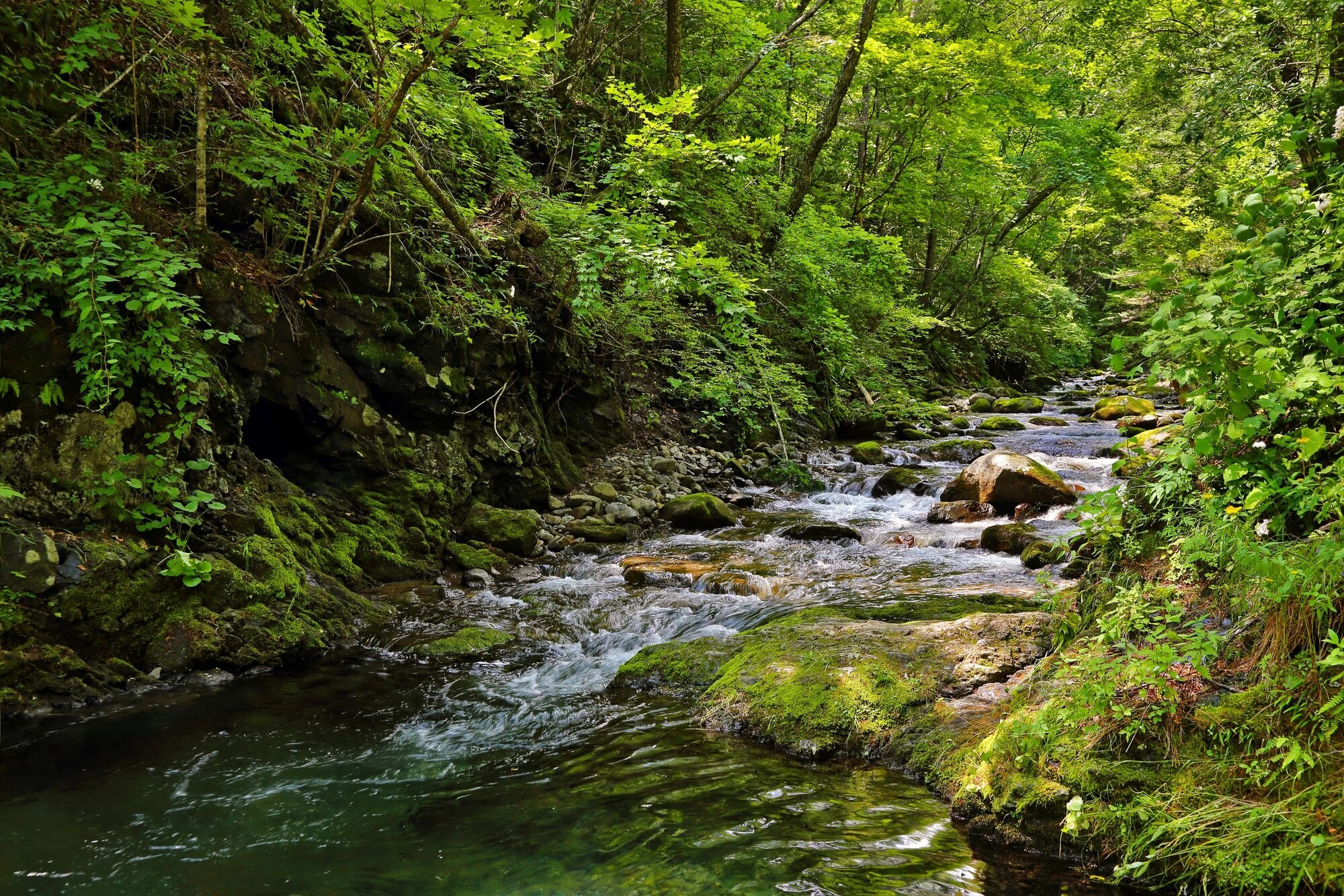 Tours to Primorye Russia — Far East Jorney | Book Online