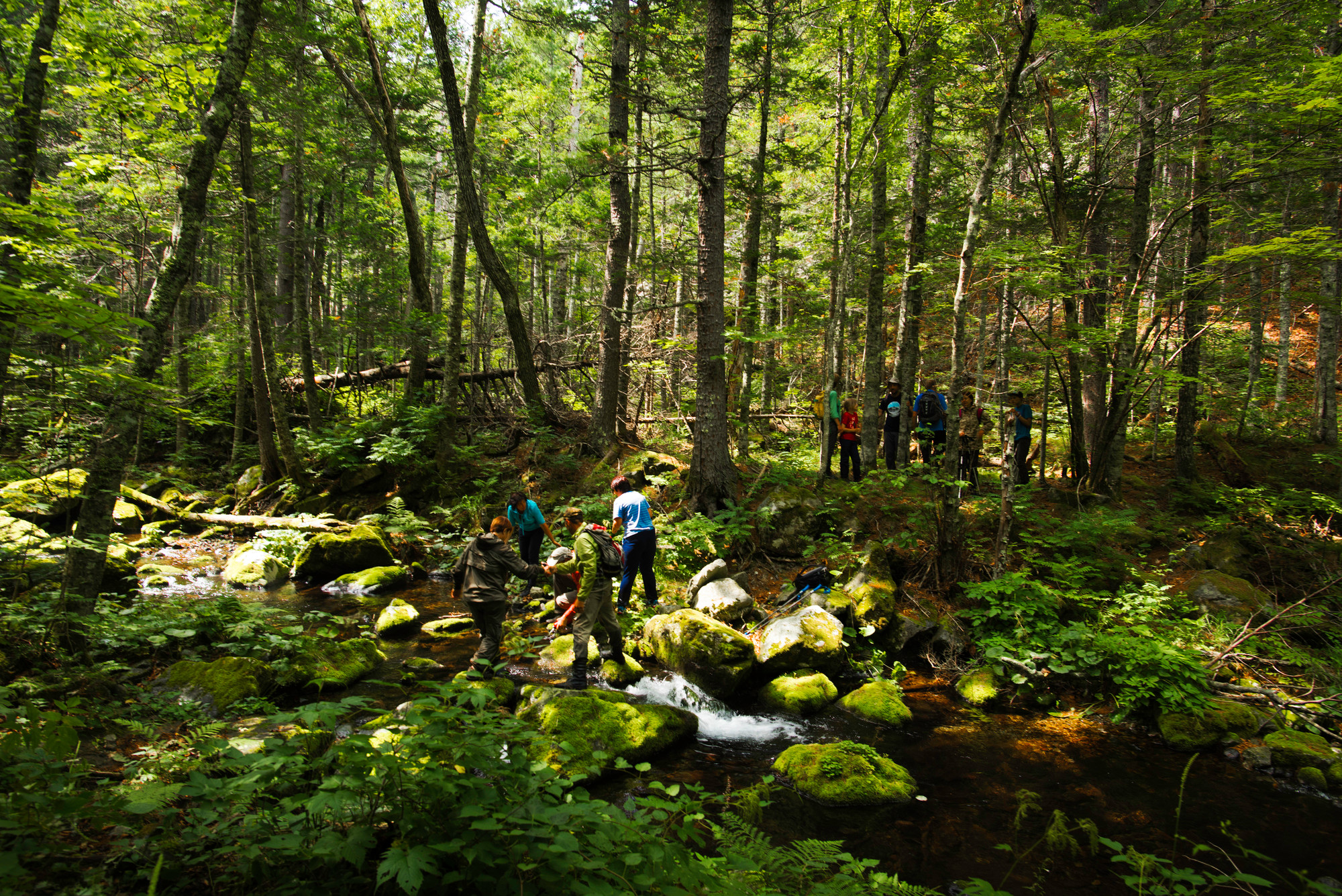 Tours to Primorye Russia — Far East Jorney | Book Online